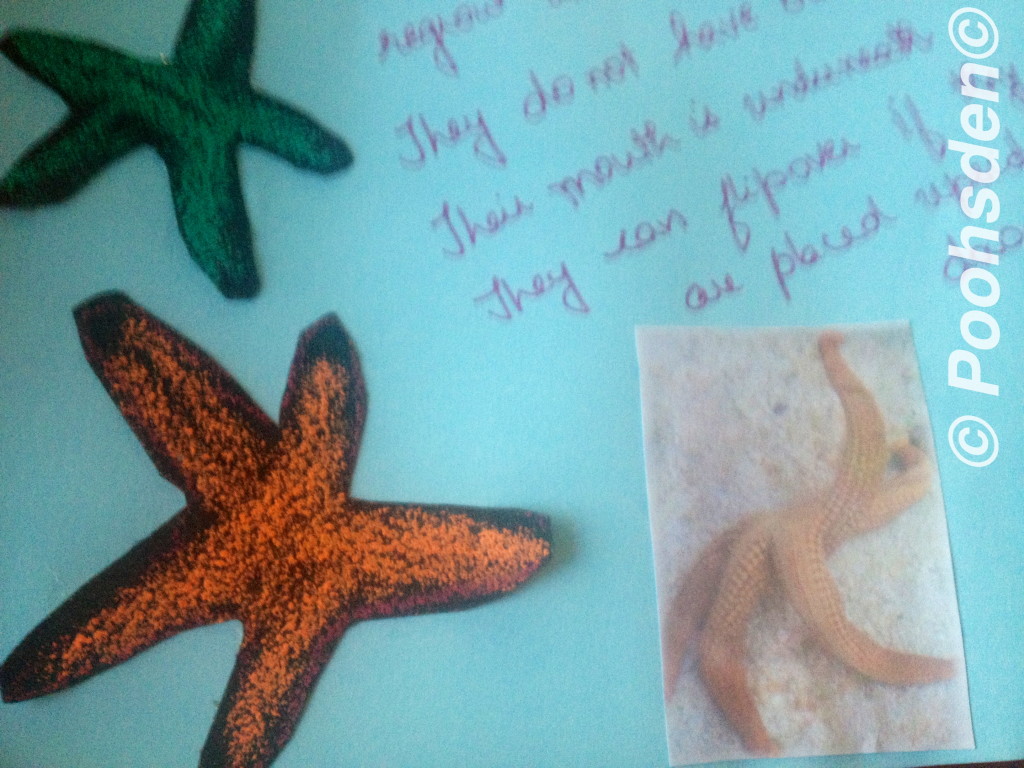 Sea Creatures Craft Galore — PoohsDen